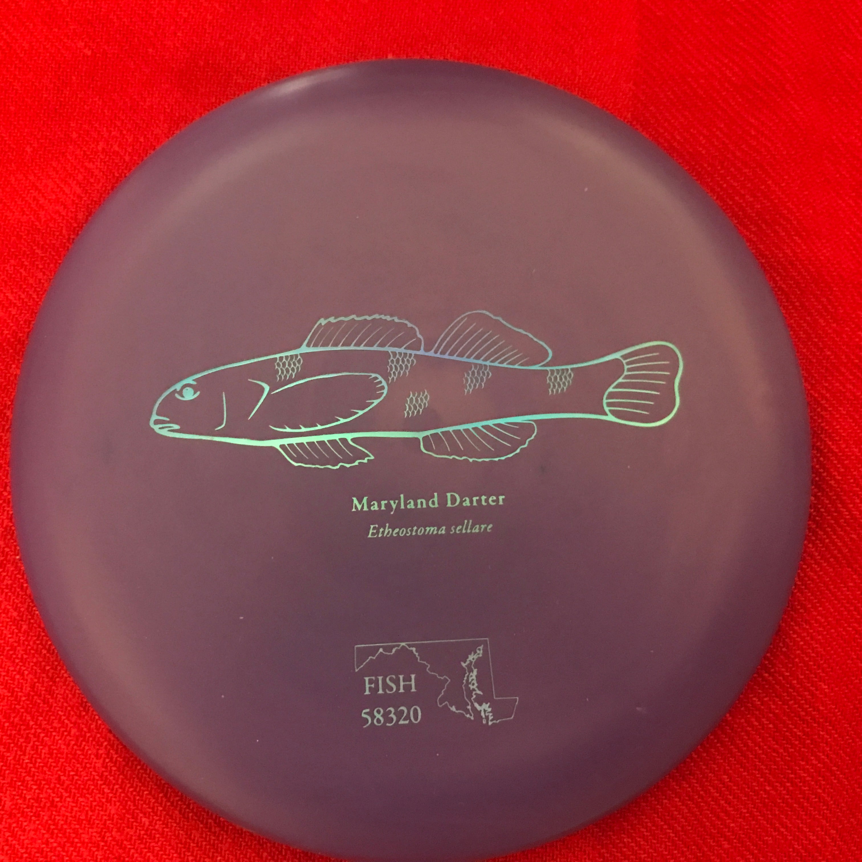 Fish 2023 Challenger - Tour Fundraiser – Fish's Disc Golf Store