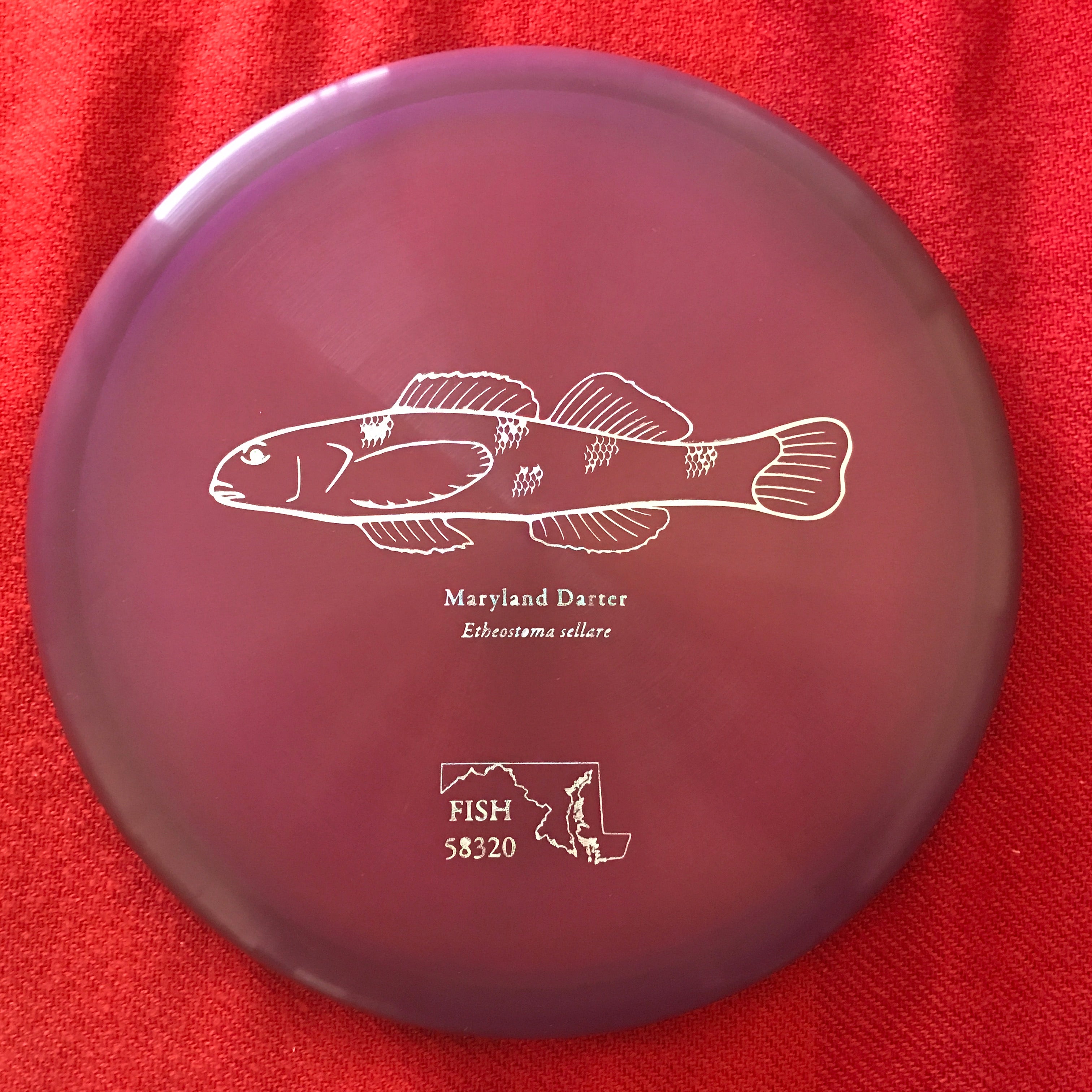 Fish 2023 Z Zone - Tour Fundraiser – Fish's Disc Golf Store